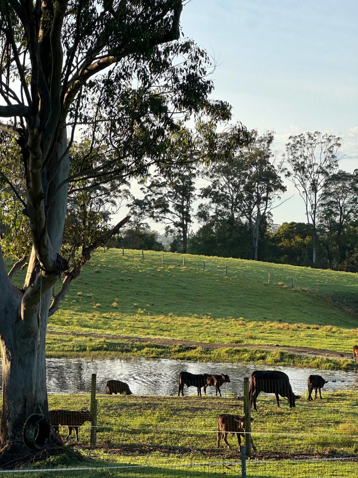 The Guesthouse Valla Barn And Cabin - Urunga