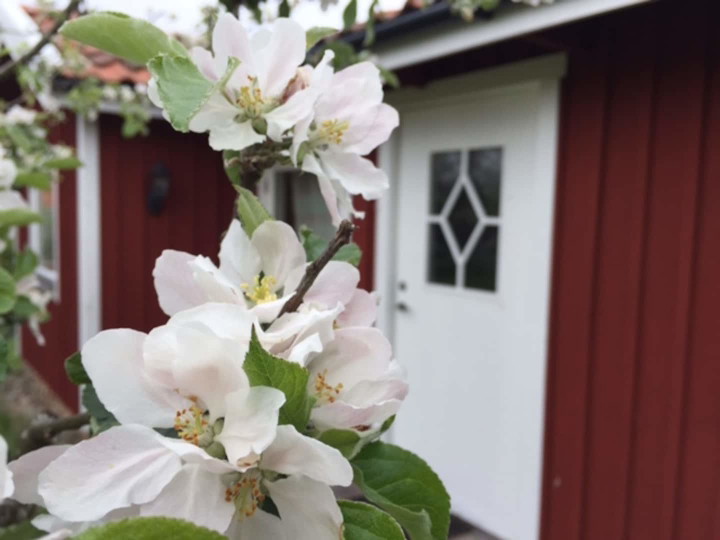 Mysig Stuga I Båstad Malen - Båstad