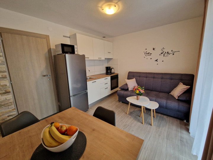 Mira 2+1 Apartment - Premantura