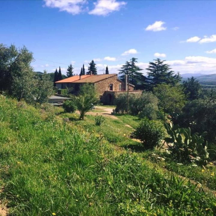 Villa Open Space - Podere Baloo Country House - Suvereto