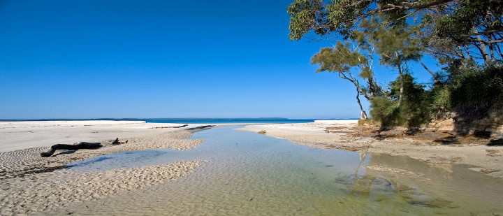 Walk To White Sandy Beach And Shops, Pet Friendly - Nowra