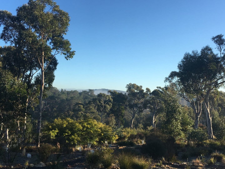 Magpie Haven Berrima - Moss Vale