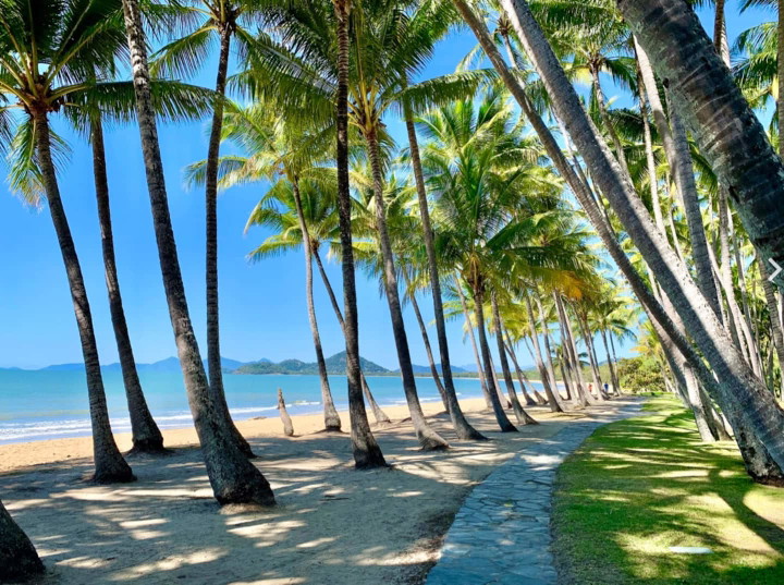 Stylish Palm Cove Apartment - Cairns