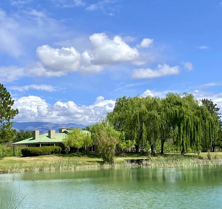 Unique Uco Valley Vineyard, W/cleaning & Breakfast - Argentine