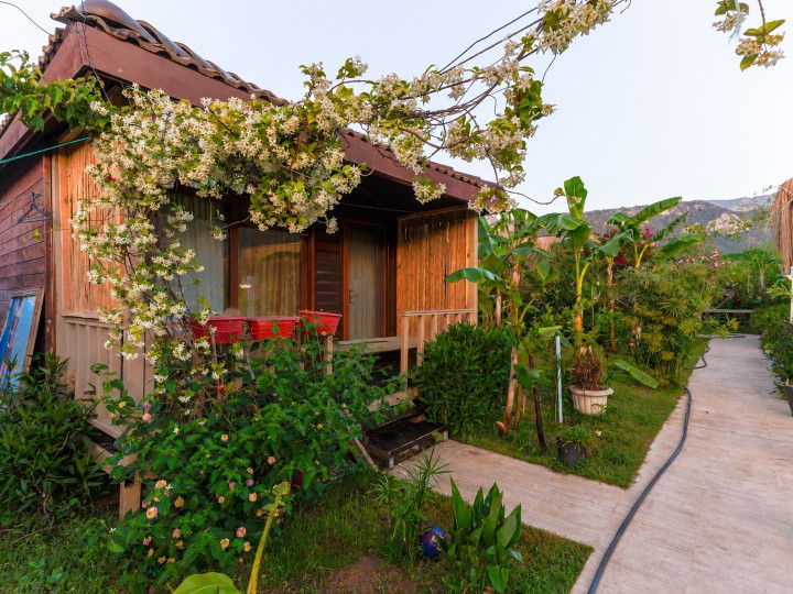 1+1 Bungalows - Çıralı
