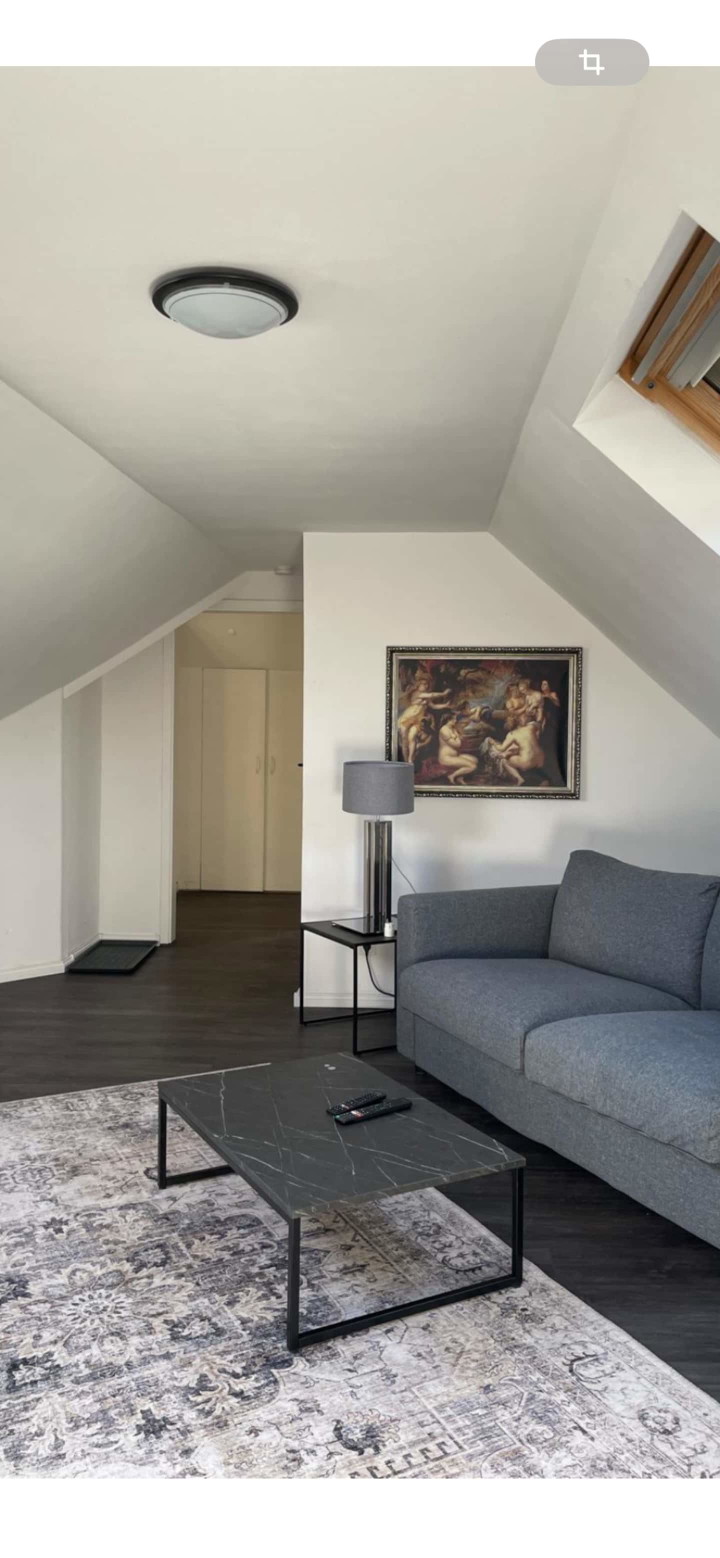 City Center Cozy Roofapartment - Kaiserslautern