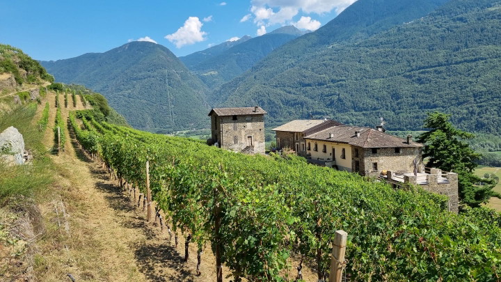 B&b Cà Moréi - Teglio