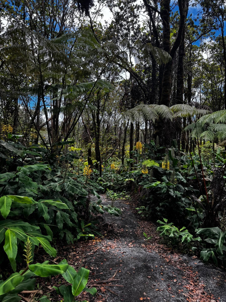 Glamping Oasis: Solar Power Tent - Volcano, HI