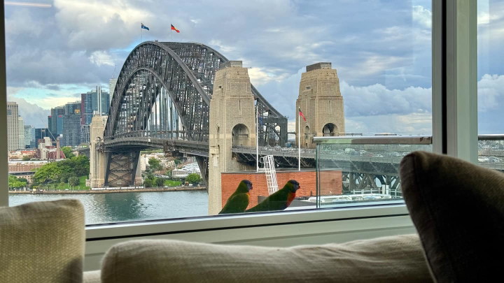 World-class Sydney Harbour View-superhost - Sydney