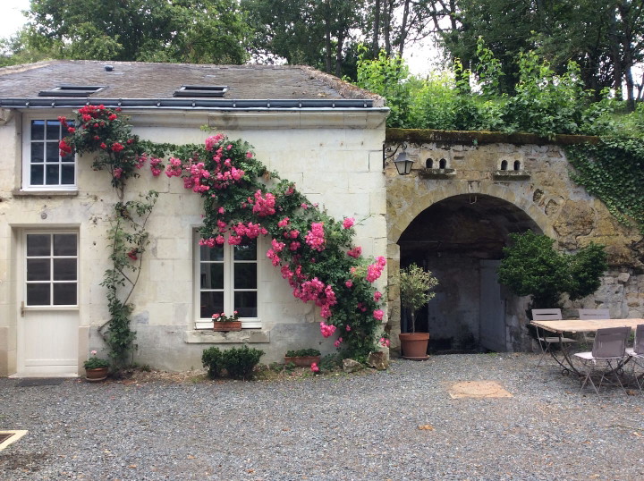 Charmant Gîte Aux Quinquenais à Chinon - Chinon