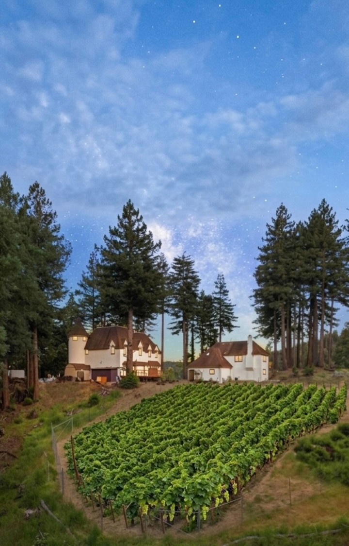 Santa Cruz Mountain Adu With Majestic Views - Boulder Creek, CA