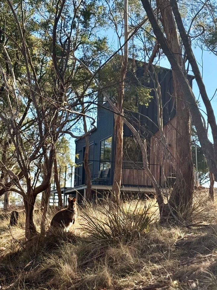 Richmond Wildlife Haven - Hobart