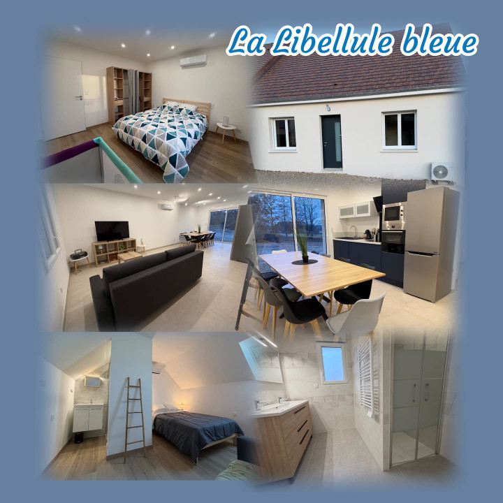 La Libellule Bleue Zoo De Beauval Et Chateaux - Saint-Aignan