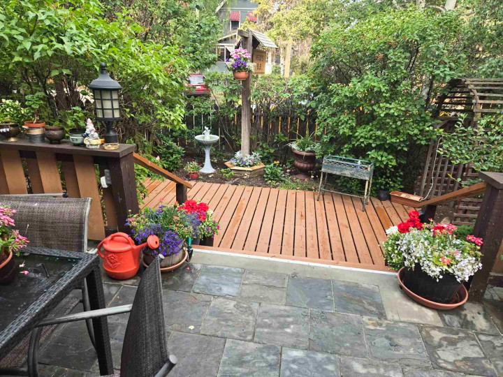 Alpine Guesthouse - Banff