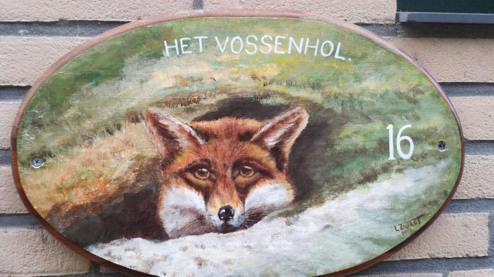 "Het Vossenhol" Strategisch Tussen Strand & Duin. - Bergen aan Zee