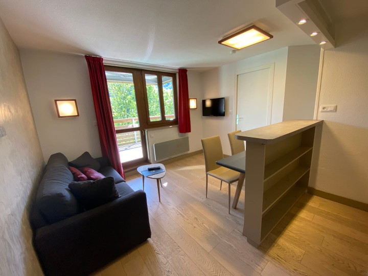 Appartement 2 Personnes 1 Chambre (T2) M202 - Puy de Sancy