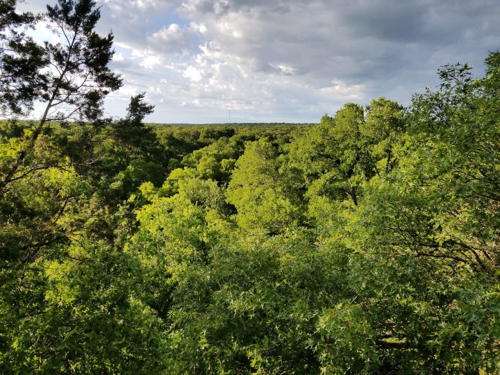 Little House With A View - Wimberley, TX