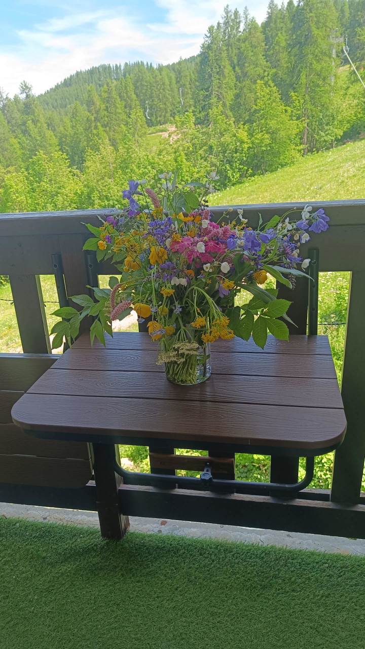 Joli Studio + Balcon, 4 Pers. Puy Stvincent,ecrins - Puy-Saint-Vincent