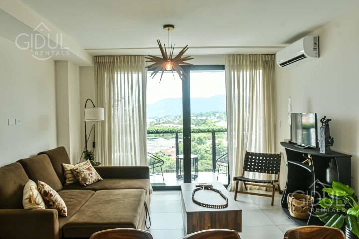 Beautiful San Francisco Penthouse. Gym-wifi-a/c - San Salvador