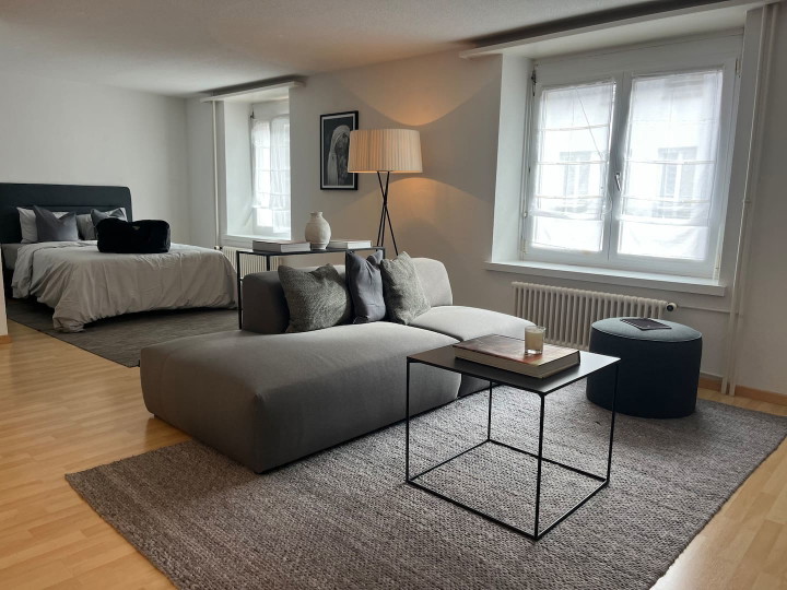 High-end Aesthetic Loft In The Heart Of Zurich - Canton of Zürich
