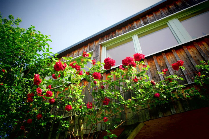 Ruhige Gartenwohnung In Der Stadt - Schwerin