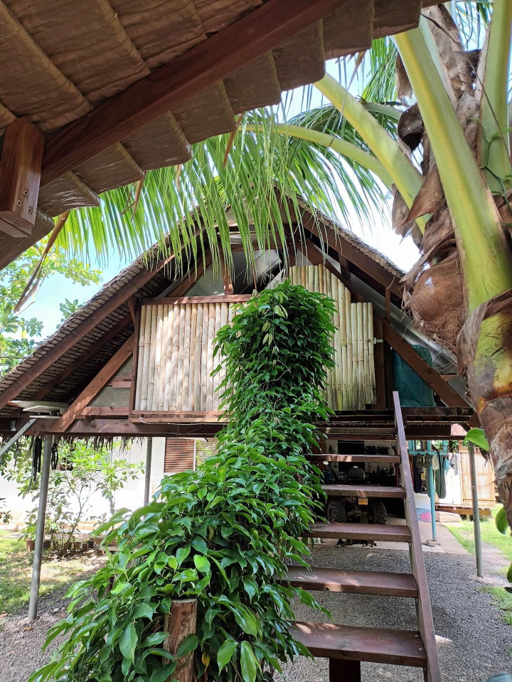 Cabane Pour Baroudeurs. - French Polynesia