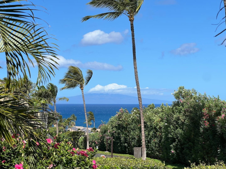 Ocean View, Great Location, Great Rates! Mkl105 - Maui, HI