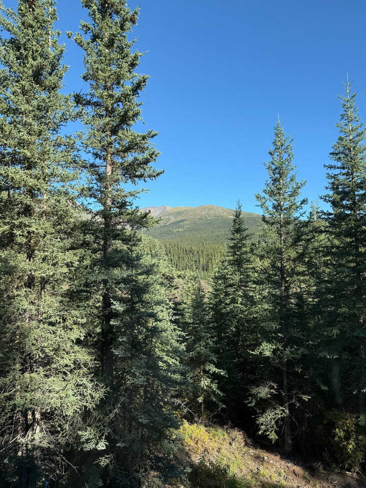 Yarrowwood Dry Cabin · 30 Min Whitehorse - Yukon