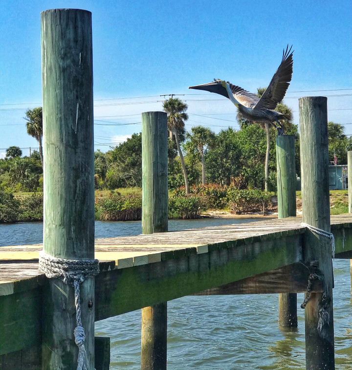 Teal Tomorrow At Pelican's Rest - Stuart, FL