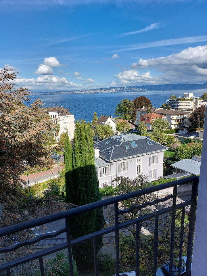 Le Mirabeau - Vue Dégagée Sur Lac - Évian-les-Bains