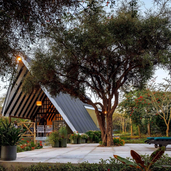 Nosisi's A-frame Machax - Kenya