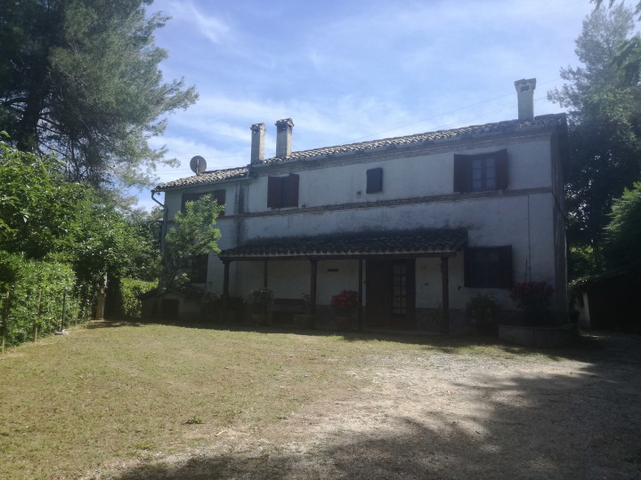 Boschetto Sul Mare - Cascina Riviera Delle Palme - Grottammare
