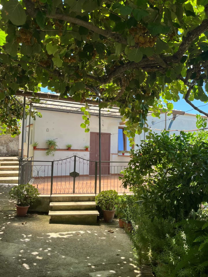 Nello House - Vico Equense