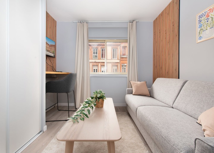 Studio Raymond Iv: Elegance And Comfort - Toulouse
