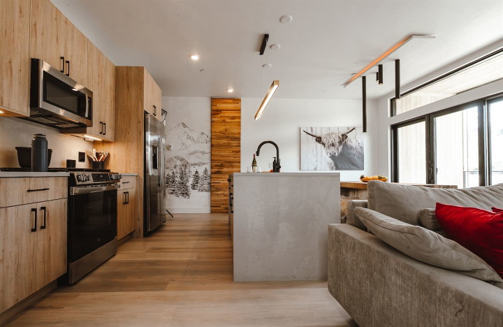 Swiss Modern | Ski Central | No Stairs | Ev - Silverthorne, CO