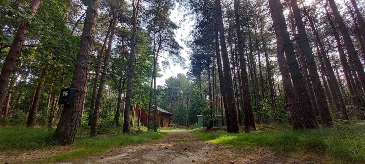 Maison Familiale Confortable Dans Les Bois De La Campine - Geel