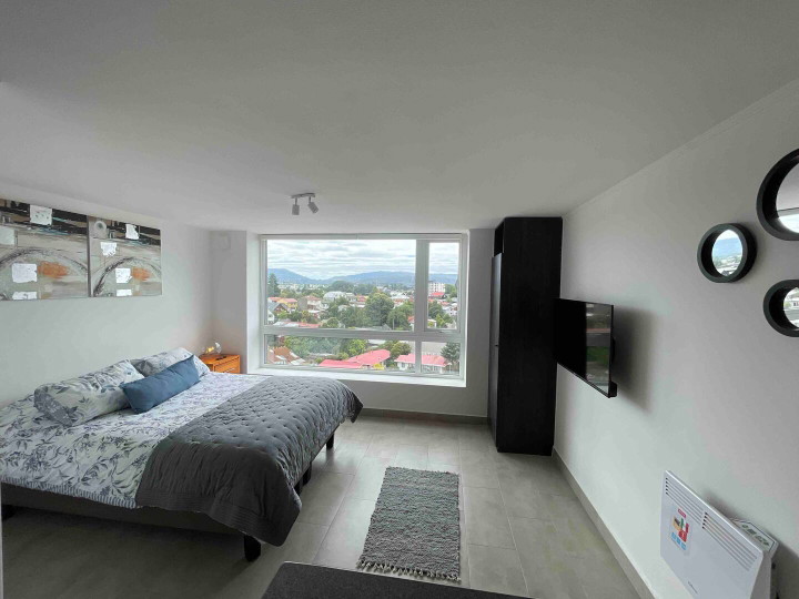Apartment In Downtown Valdivia N*9 - Valdivia