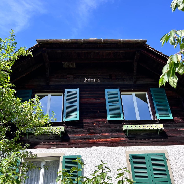 Basic Flat In Swiss Chalet - Thun