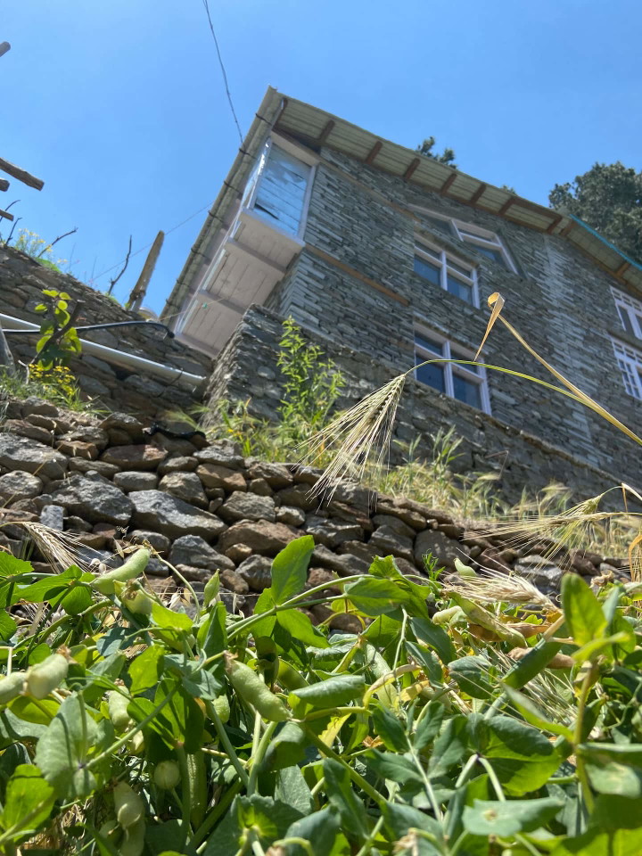 Raldang Himalayan Home & Farm Stay - Kalpa