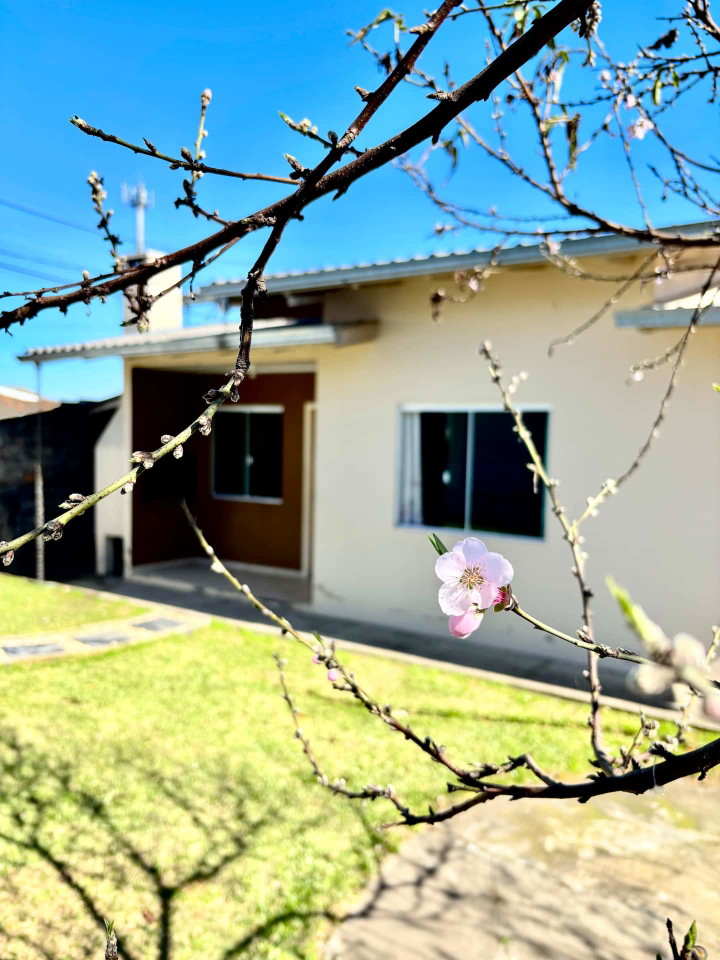 Cozy Home In Lages Near Shopping & Festival - Lages