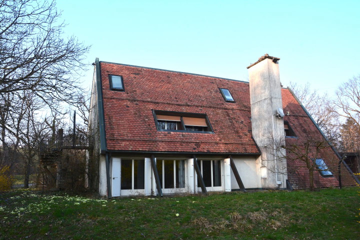 Maison, éTang, Grand Jardin, Verger, Cheminée - Morges