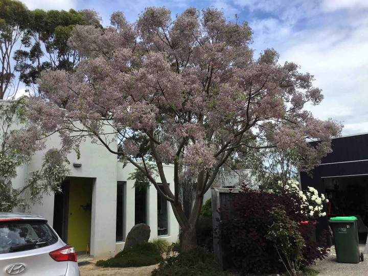 Architect Designed In A Unique Native Garden - Inverloch
