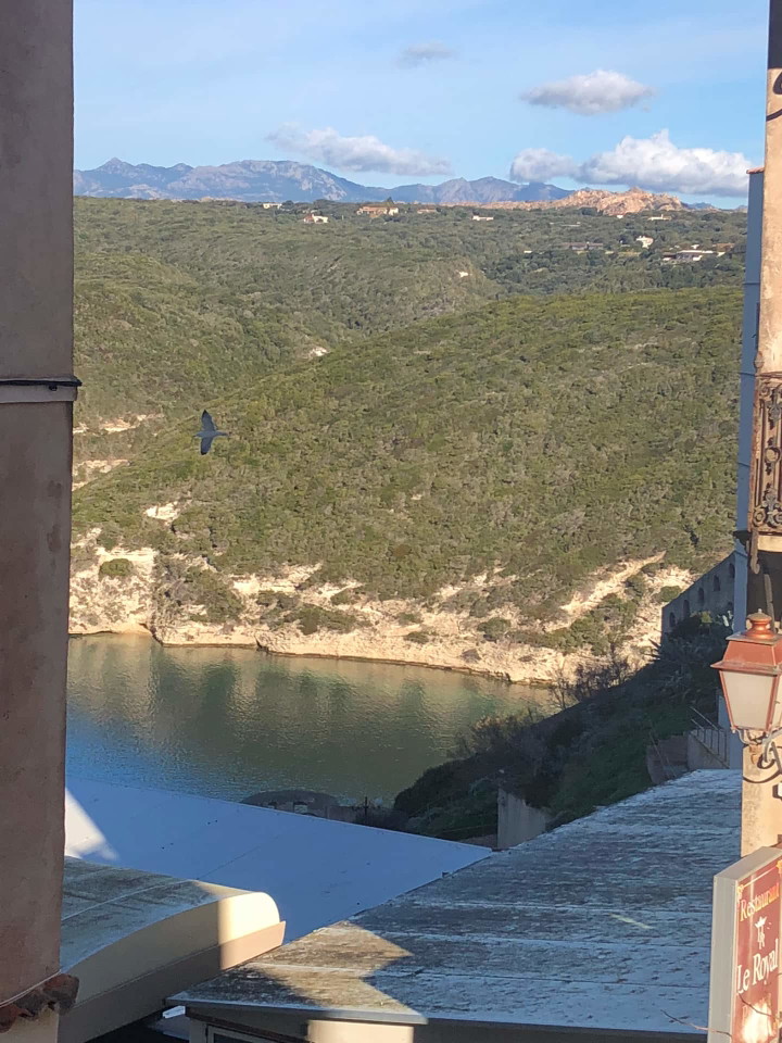 Appartement Bonifacio, Climatisé, Très Bien Situé. - Bonifacio