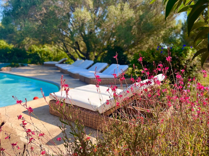 Gite  Les Amandiers 7 - Porto-Vecchio