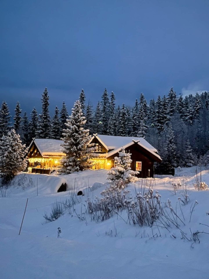 Cosy Mountain Cabin - Norway