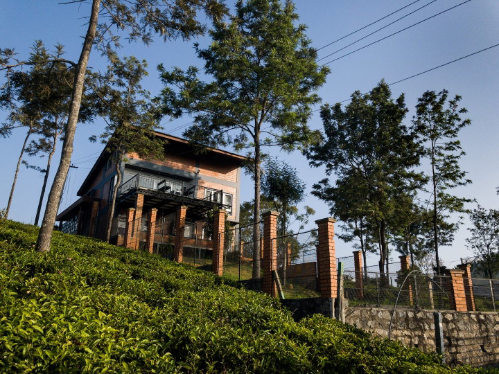 A Walk In The Clouds - Coonoor