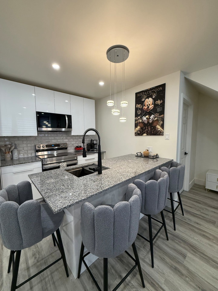 Luxury Renovated Loft. Near Dtw. Mont Royal Metro - Montreal