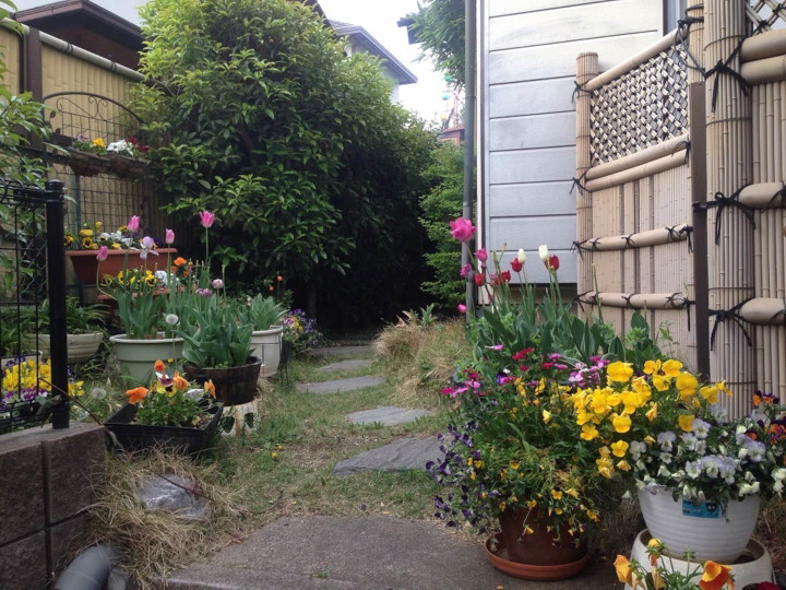 緑豊かな静かな住宅街の一軒家 [東京富春山居] - Kokubunji