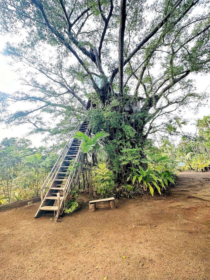 Mt Yasur's Volcanic Hideway Tree House 1 - Vanuatu