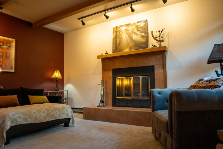 Cozy Condo- Trails Out Back-sauna/hot Tub/pool - Durango, CO